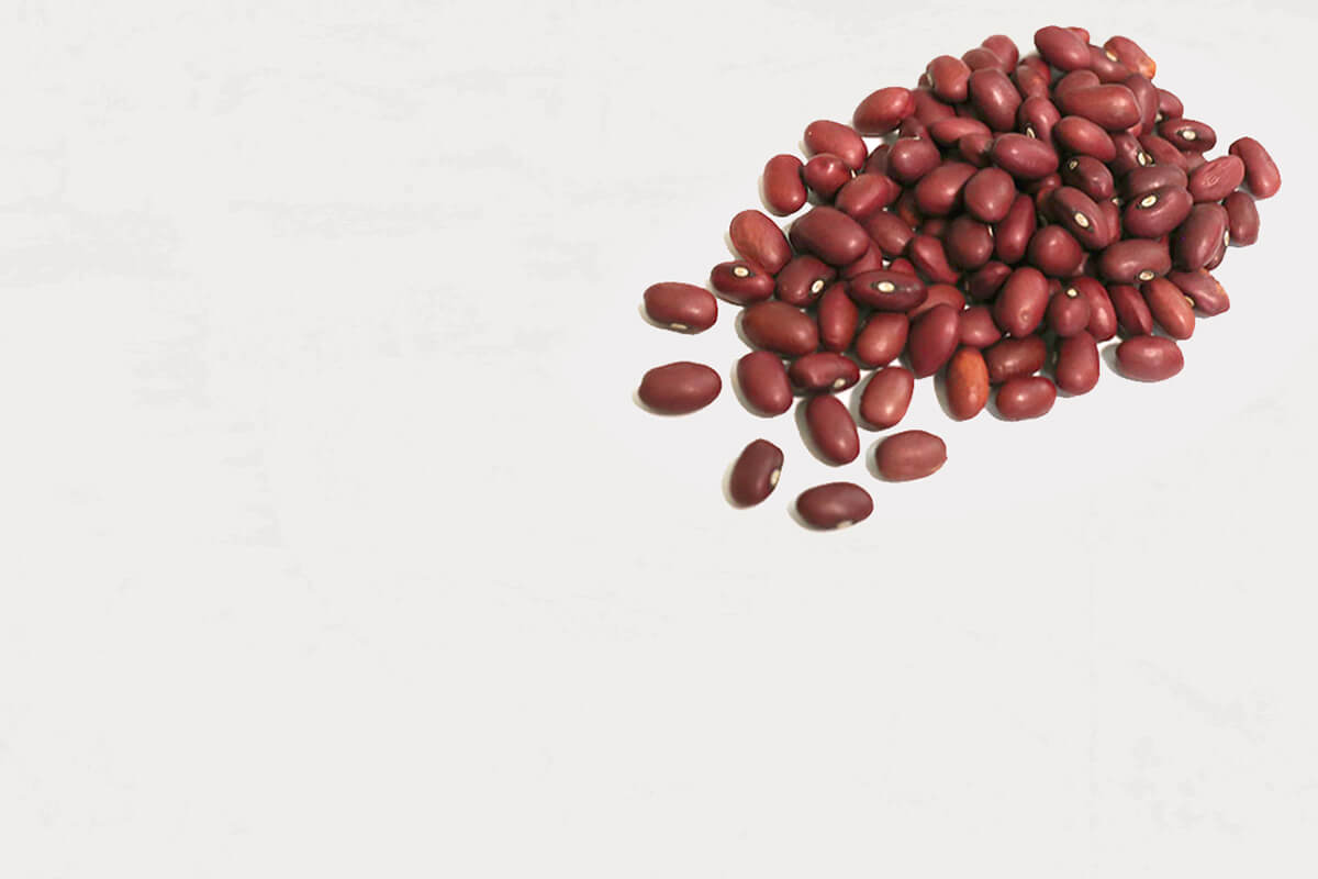 What Are Small Red Beans? | Camellia Brand